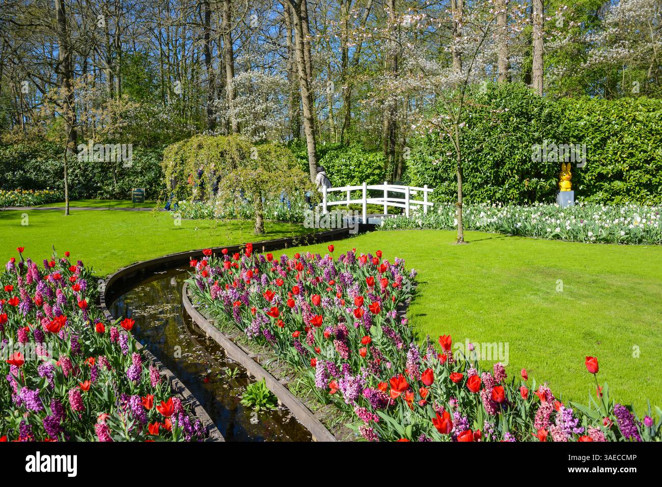 Lisse, Netherlands. 6th Apr, 2025. Thousands of visitors flock to see ...