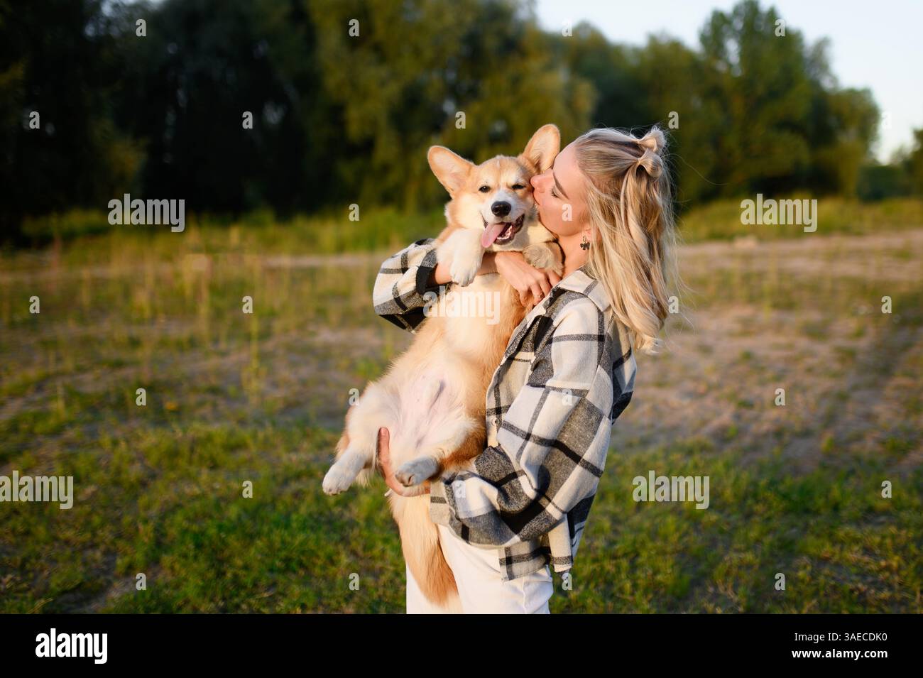 Owner holds Pembroke Welsh Corgi dog in arms, hugging and kissing it ...