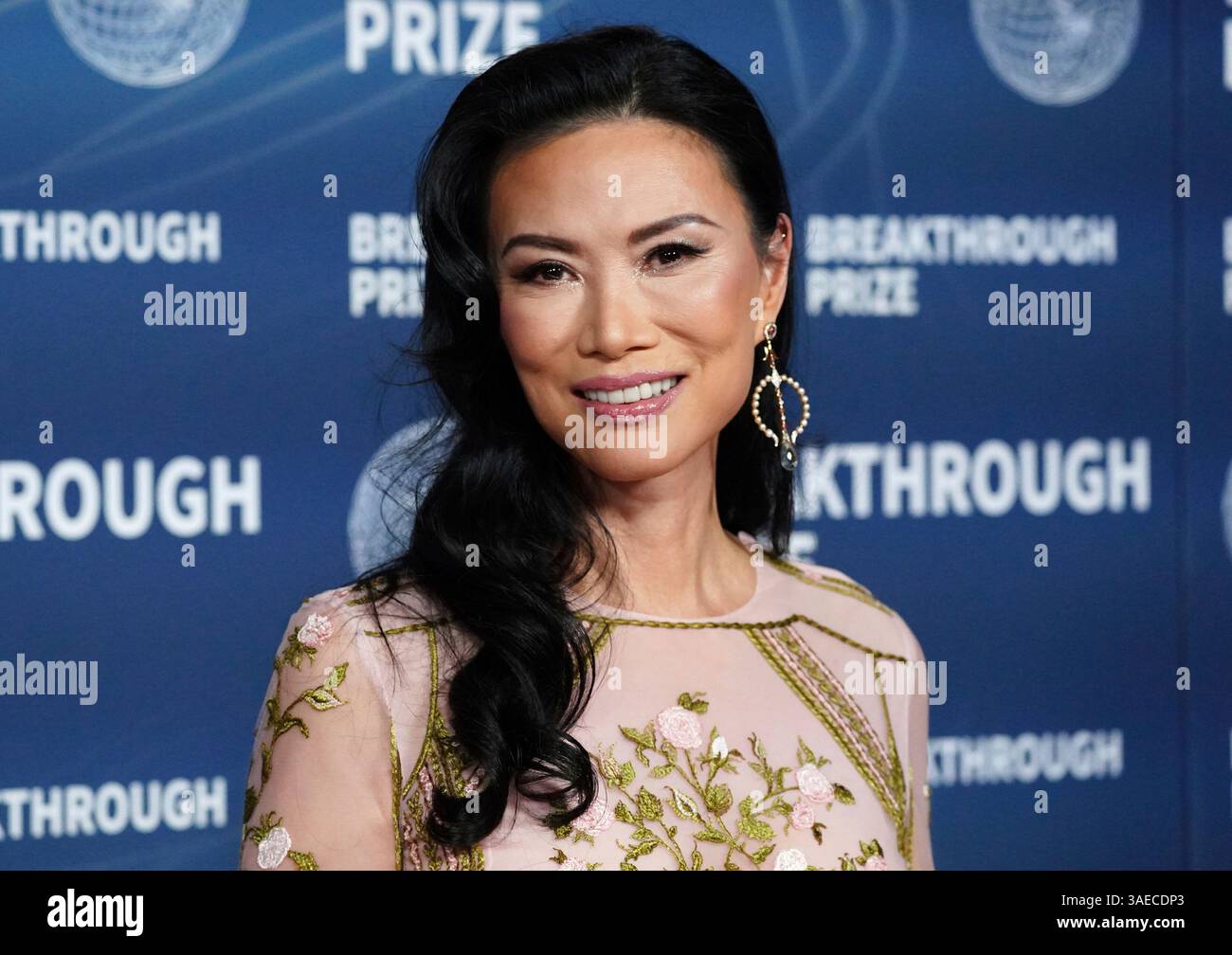 Wendi Murdoch arrives at the 11th Breakthrough Prize Ceremony on ...