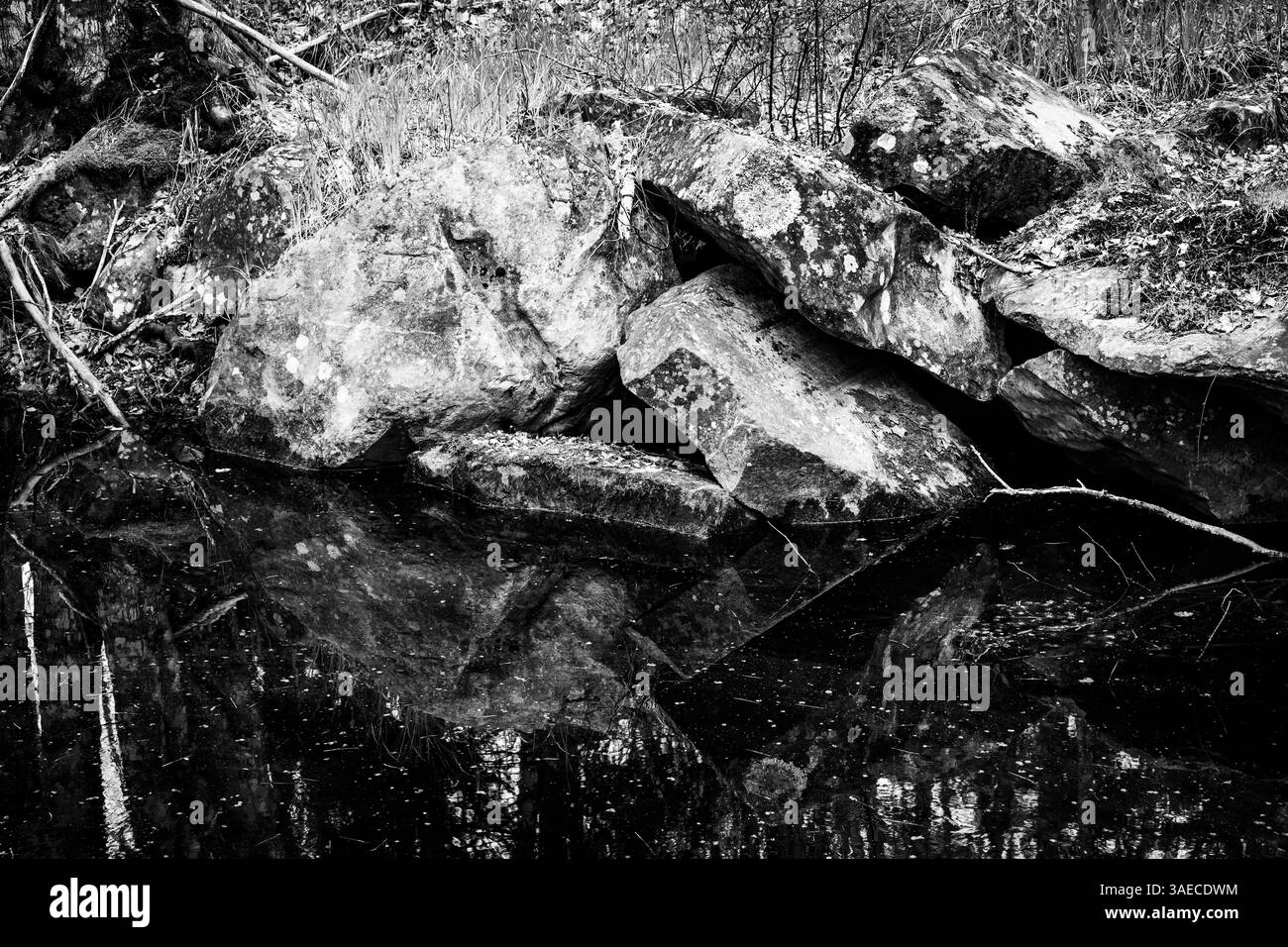 Mirror reflections on water Black and White Stock Photos & Images - Alamy