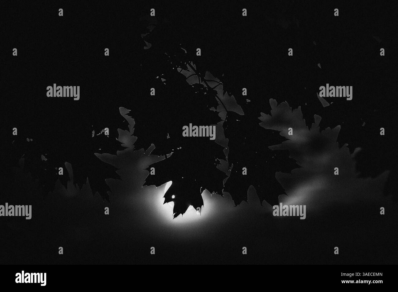Moon shadow in dark Black and White Stock Photos & Images - Alamy