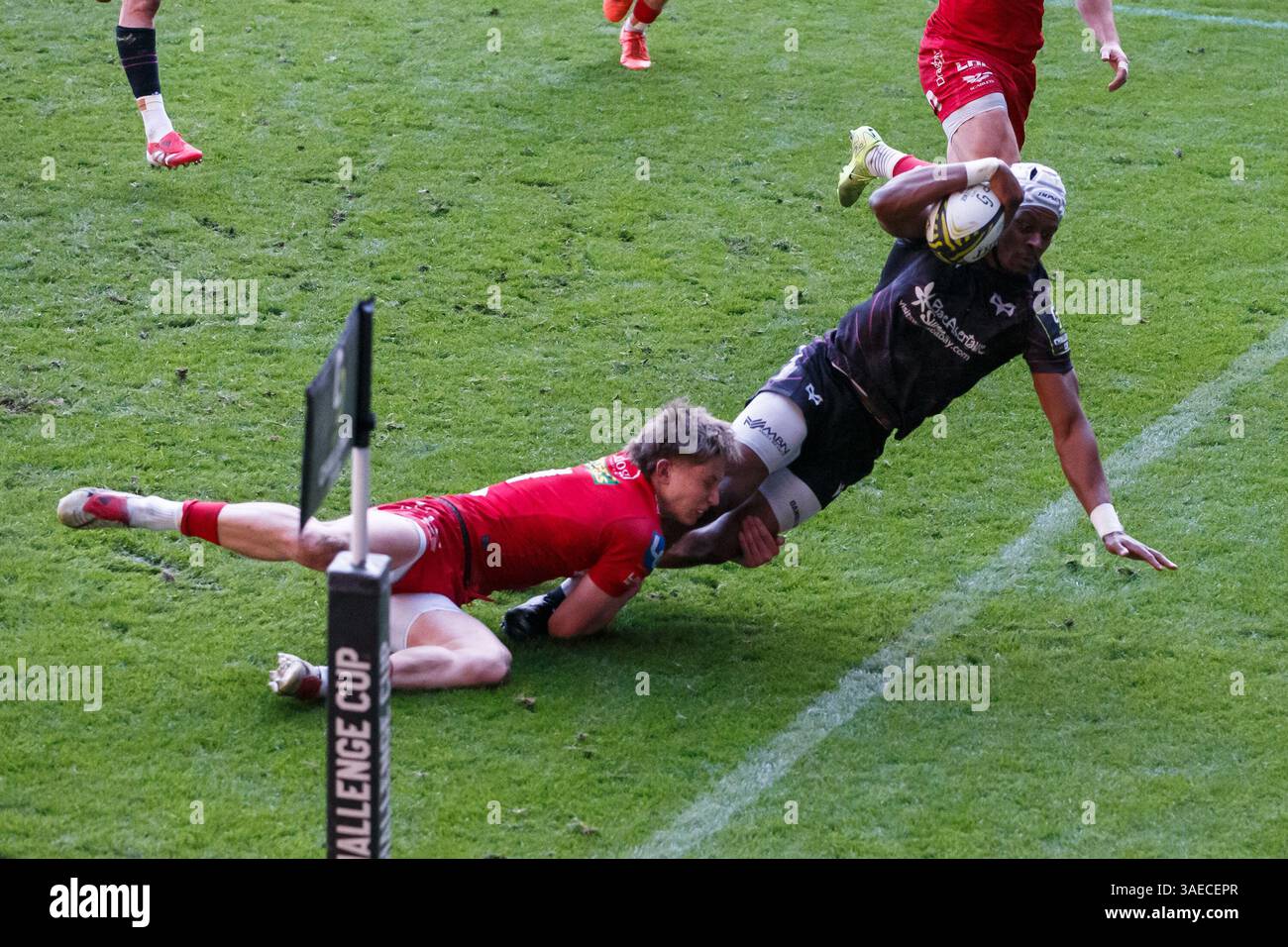Swansea, UK. 6 April, 2025. Daniel Kasende of Ospreys scores a try ...