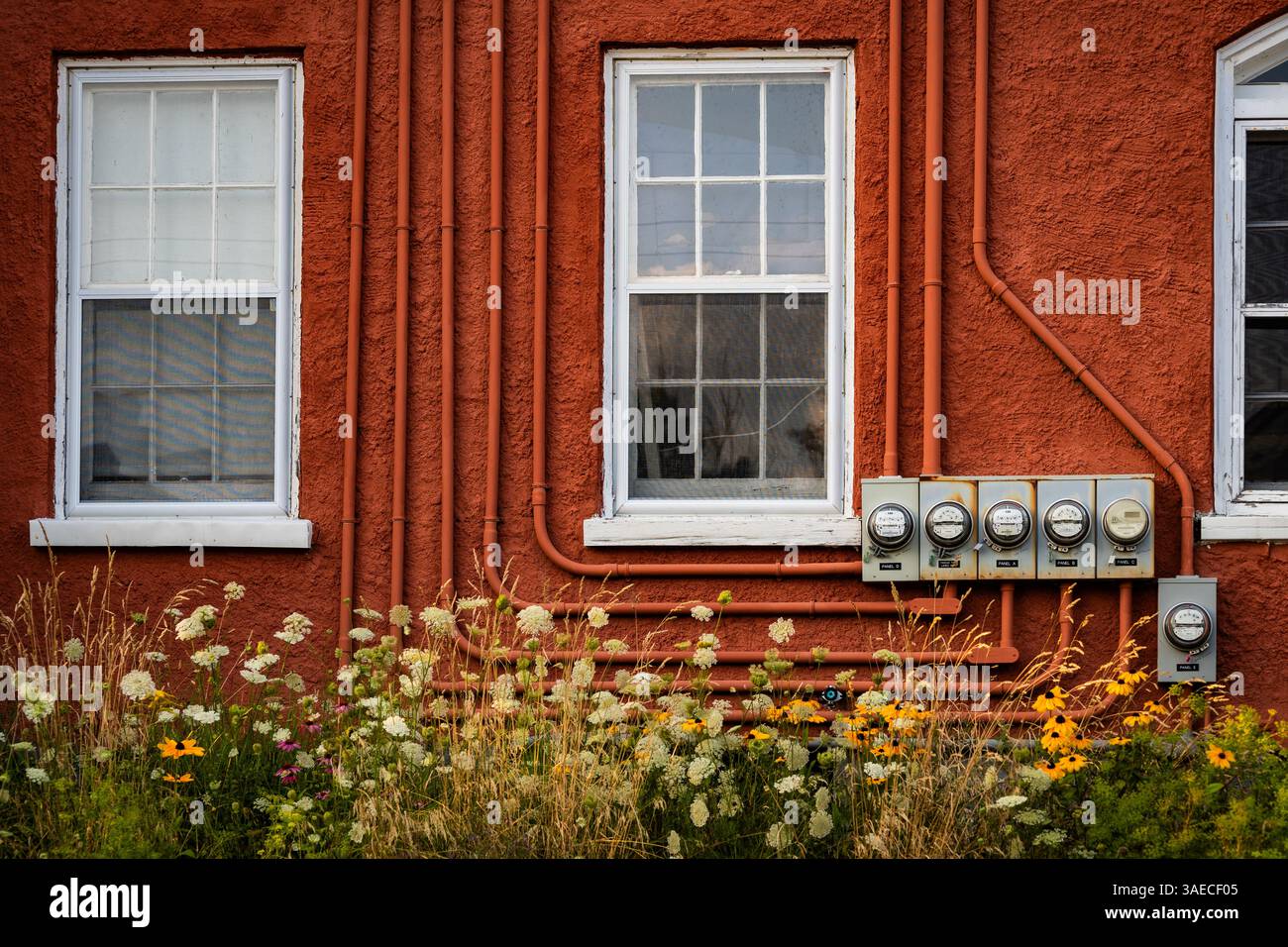 Windows and electrical meters and conduit on the exterior wall of a ...