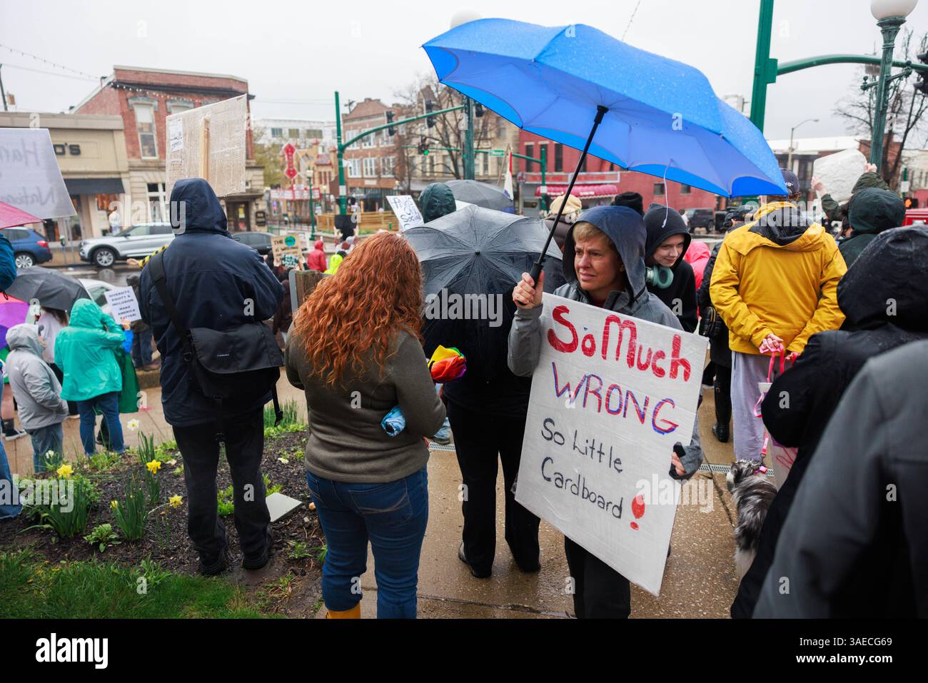 A protester holds a placard reading, “So much wrong so little cardboard ...