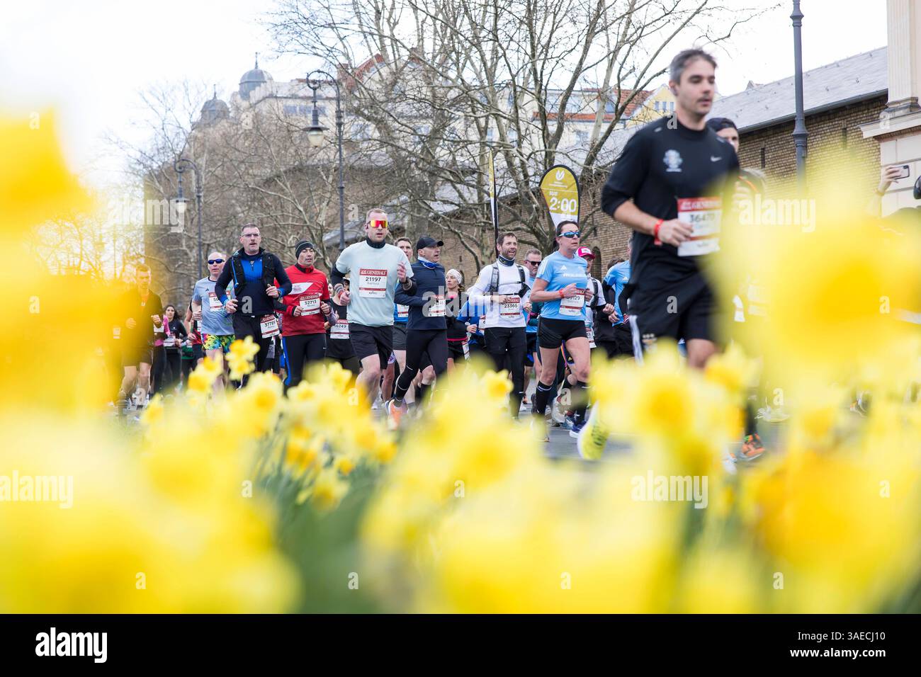 Halbmarathon, Sportveranstaltung in Berlin, 05.04.2025 Läufer laufen ...