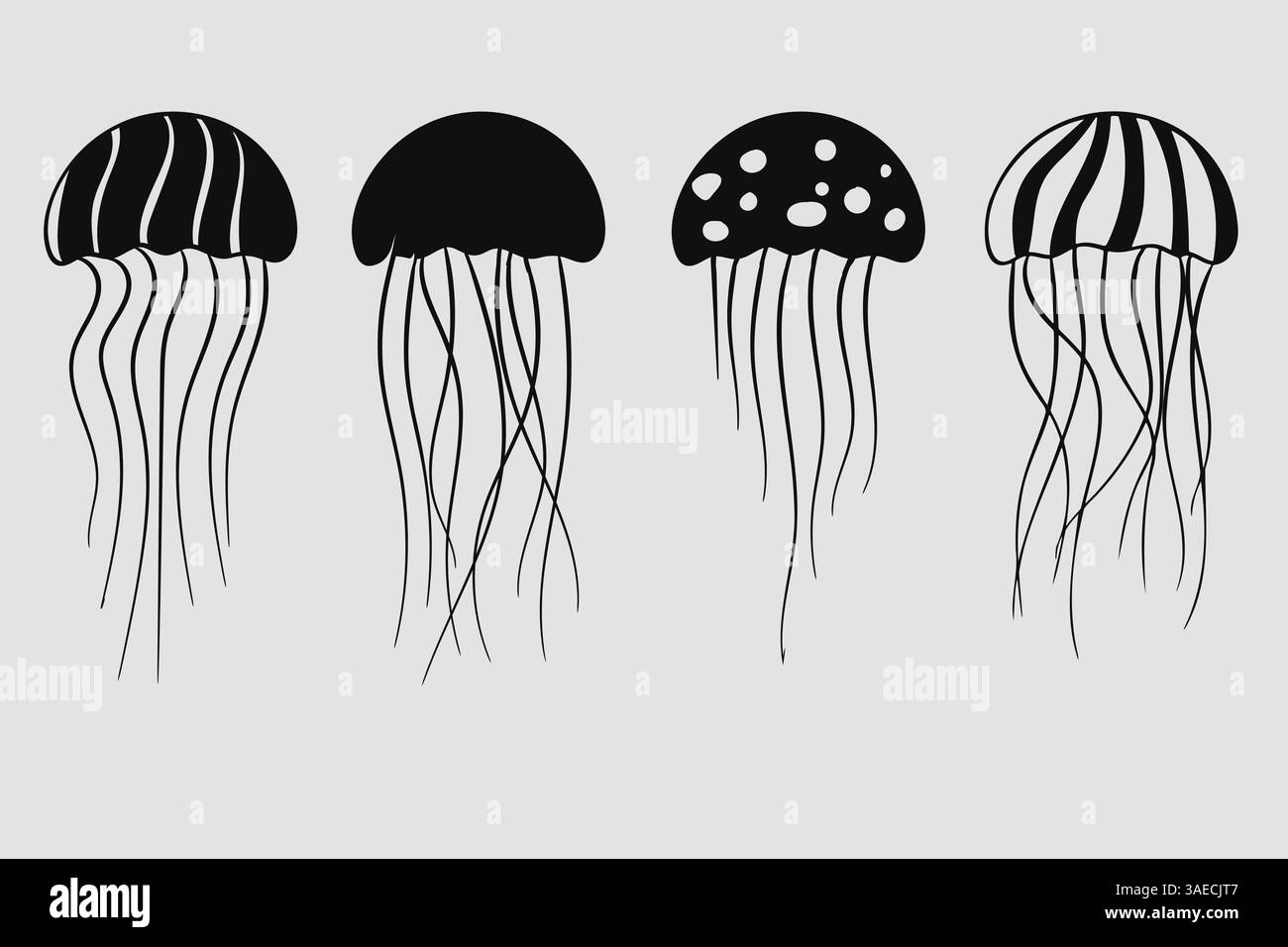 Seahorse jellyfish marine illustration Stock Vector Images - Alamy