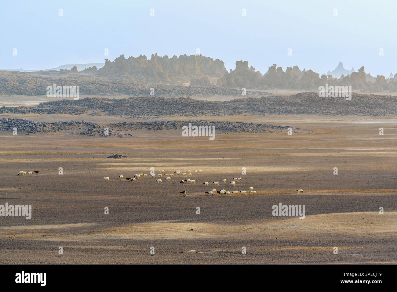 Djibouti, view at the lake Abbe with its rock formations Stock Photo ...