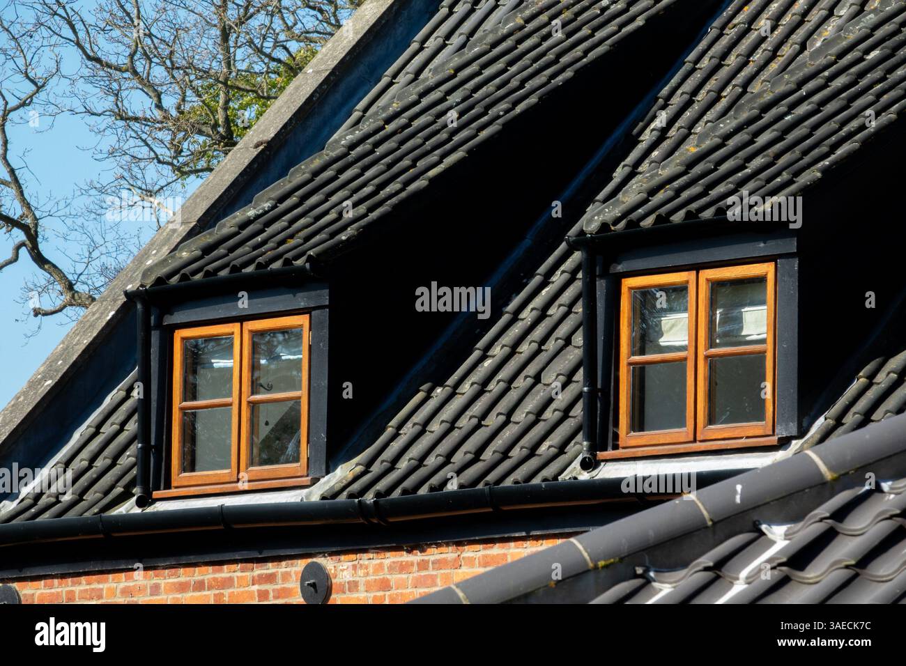 Cottage dormer windows Stock Photo - Alamy