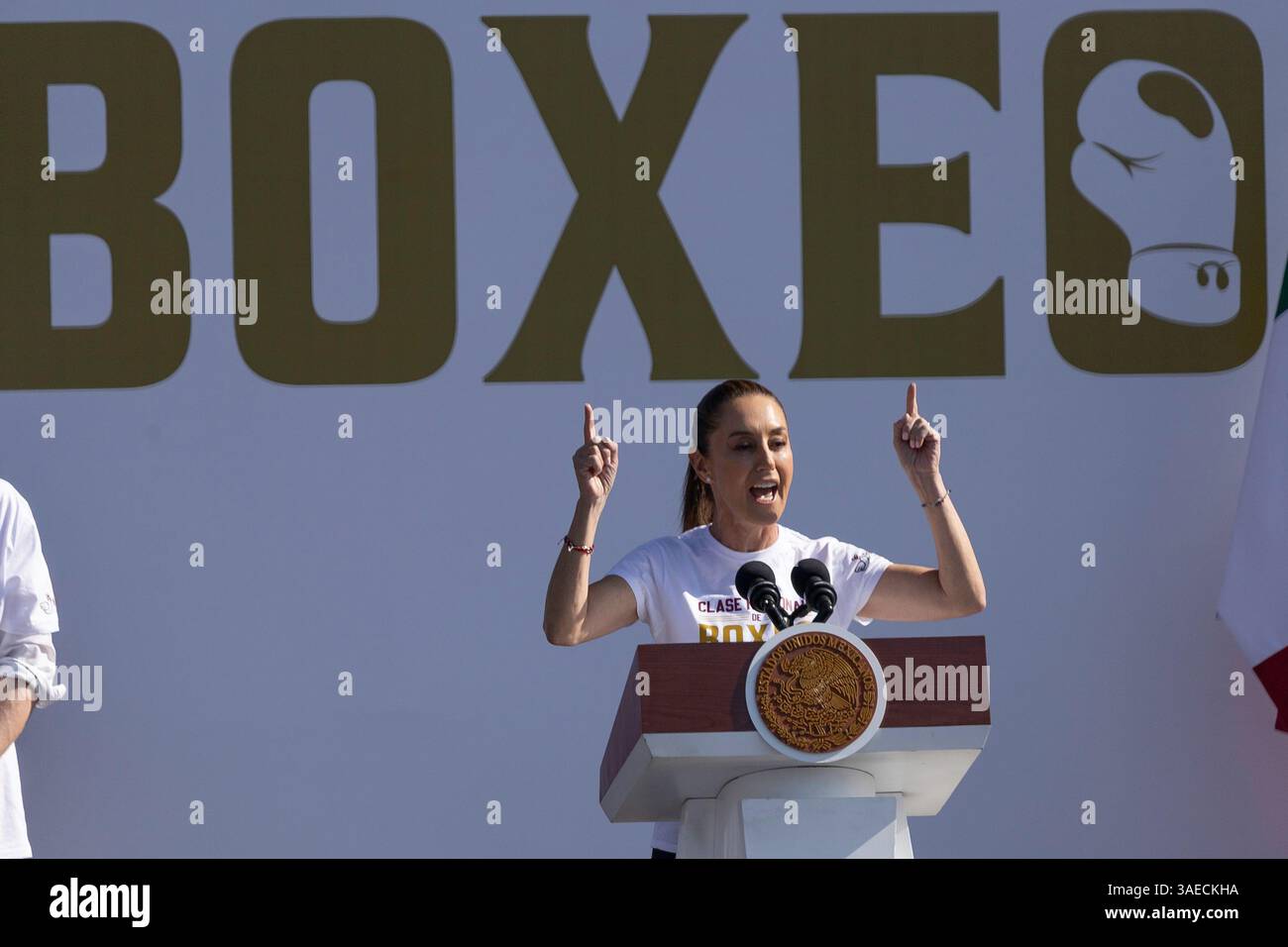 Mexico City, Mexico. 6th Apr, 2025. The president of Mexico, CLAUDIA ...
