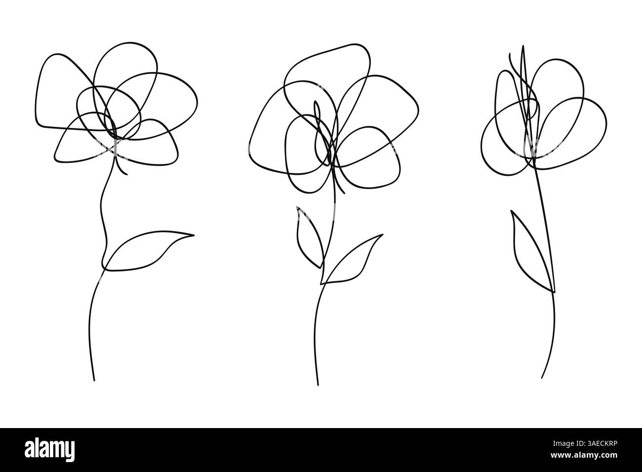 Single line art vector flower illustration collection.One continuous ...