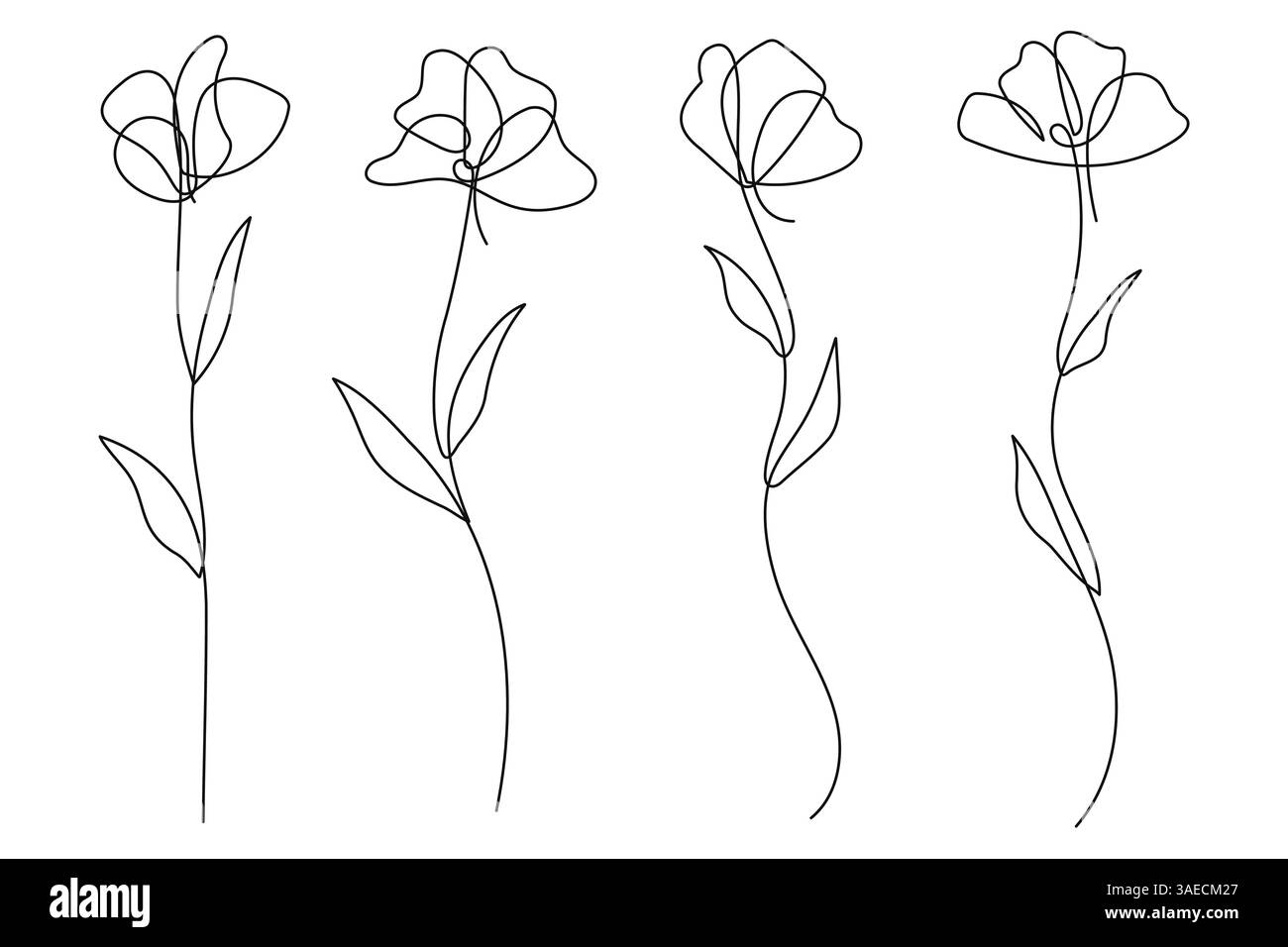 Single line art flowers botanical collection.Hand-drawing vector ...