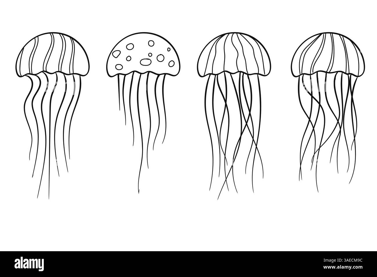 Jellyfish line icon outline Stock Vector Images - Alamy