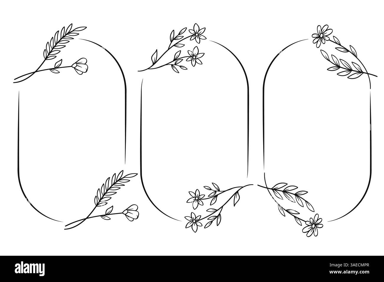Botanical hand drawn line art border frame collection.Wedding frame ...
