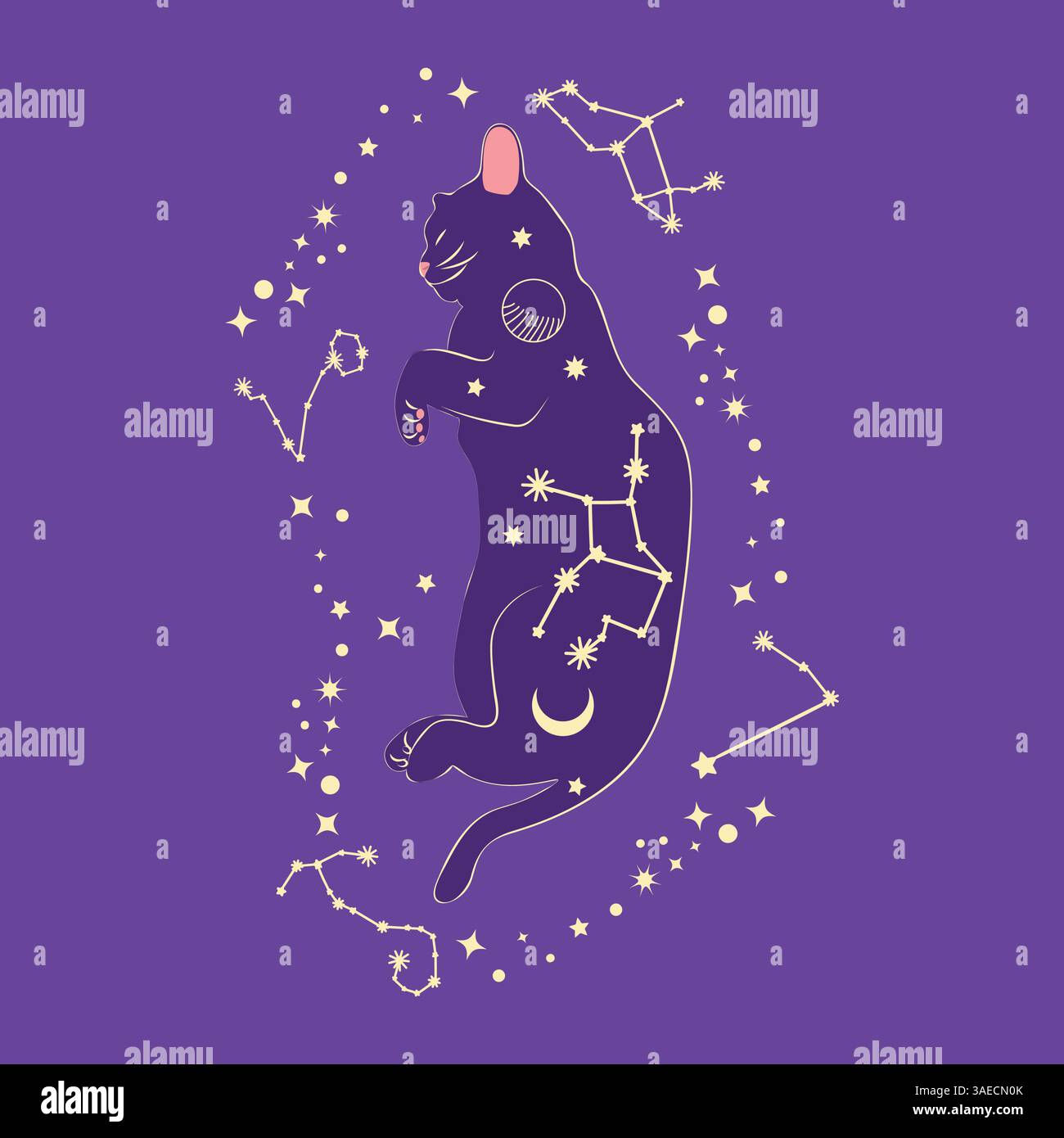 Mystical cat in boho style surrounded by stars, zodiac signs, balls ...