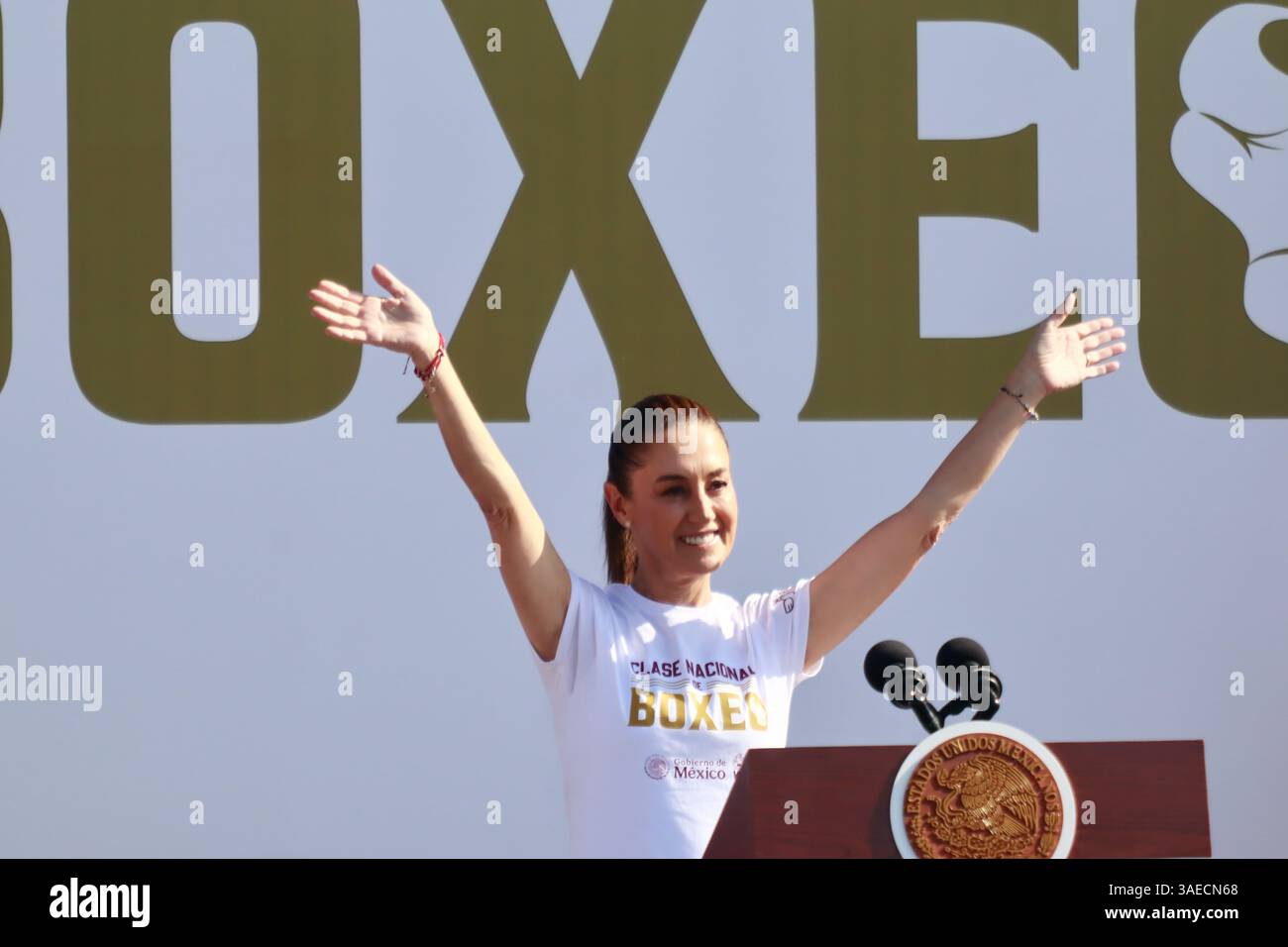 Mexico City, Mexico. 06th Apr, 2025. Mexico's President, Claudia ...