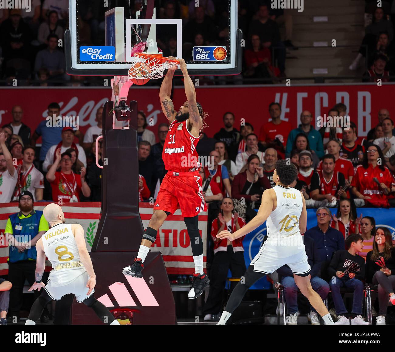 Devin Booker (FC Bayern Basketball, #31) beim Dunk, GER, FC Bayern ...