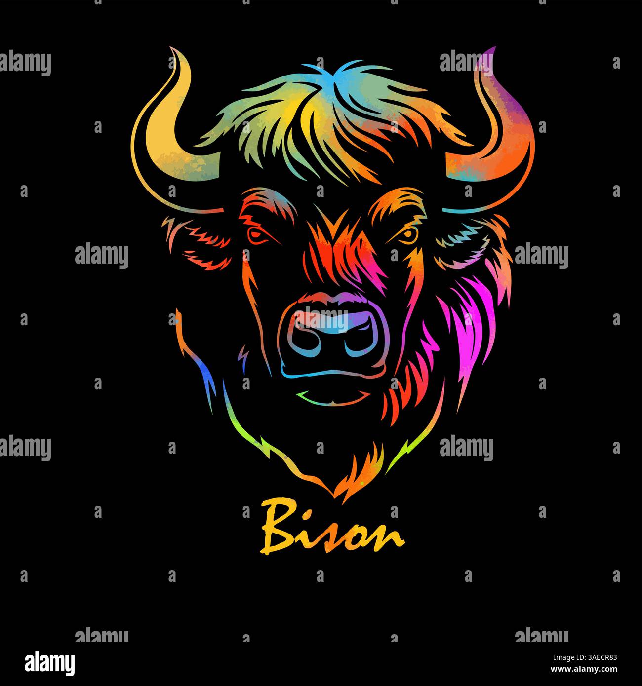 Bison colored head on black background. hand drawing. Not AI, Vector ...
