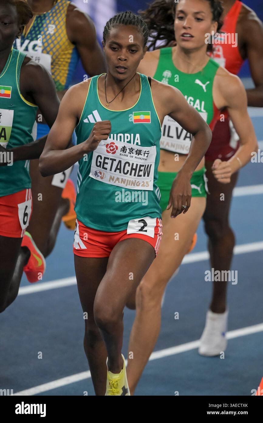 Nigist Getachew of Ethiopia competing in the 800m semi final at the ...