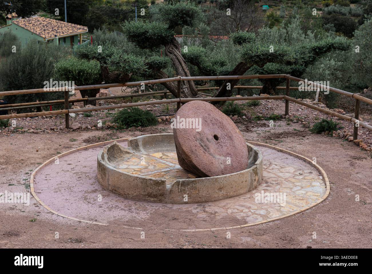 Immerse yourself in the rich heritage of grain milling with a ...