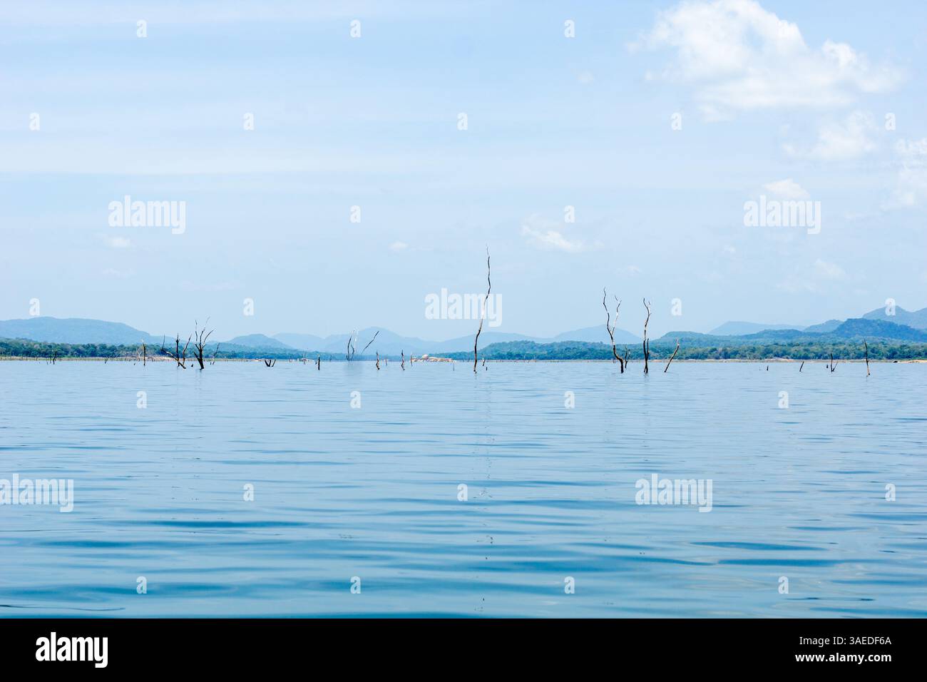 Views across Gal Oya Lake in National Park Sri Lanka Stock Photo - Alamy