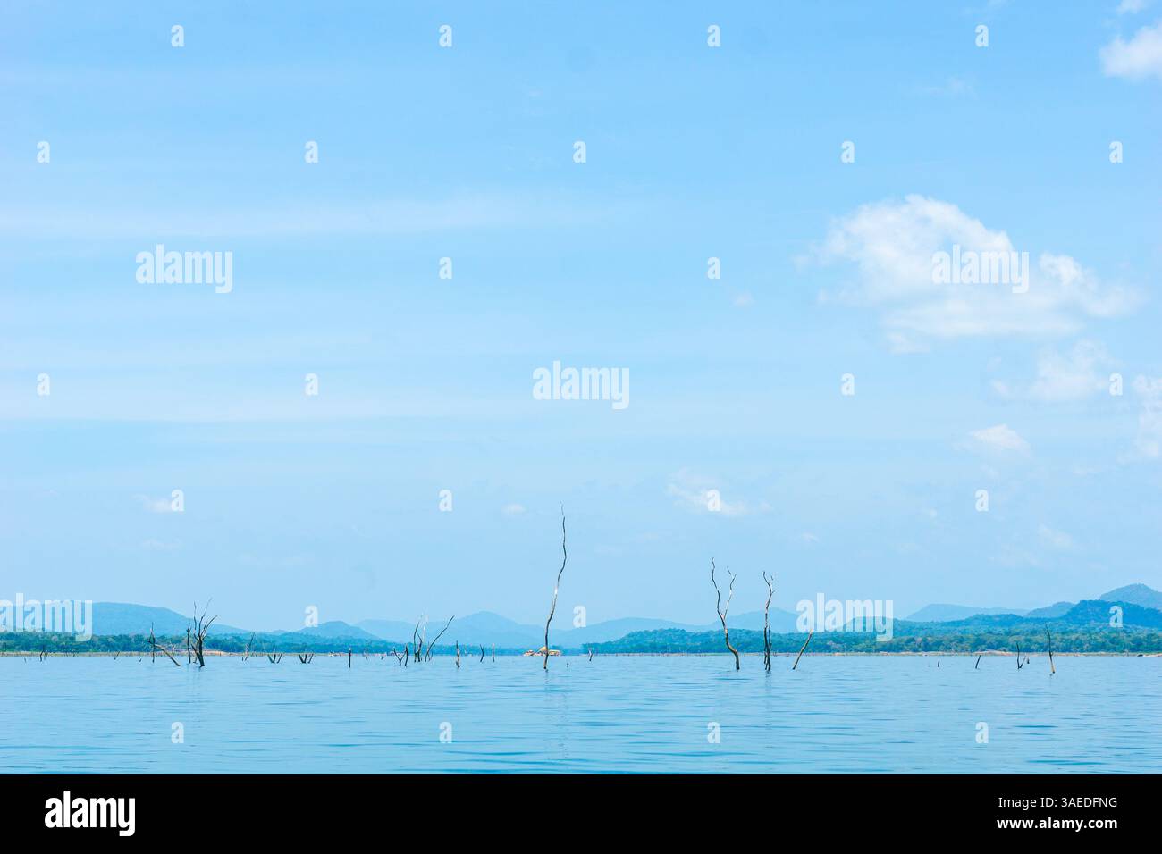 Views across Gal Oya Lake in National Park Sri Lanka Stock Photo - Alamy