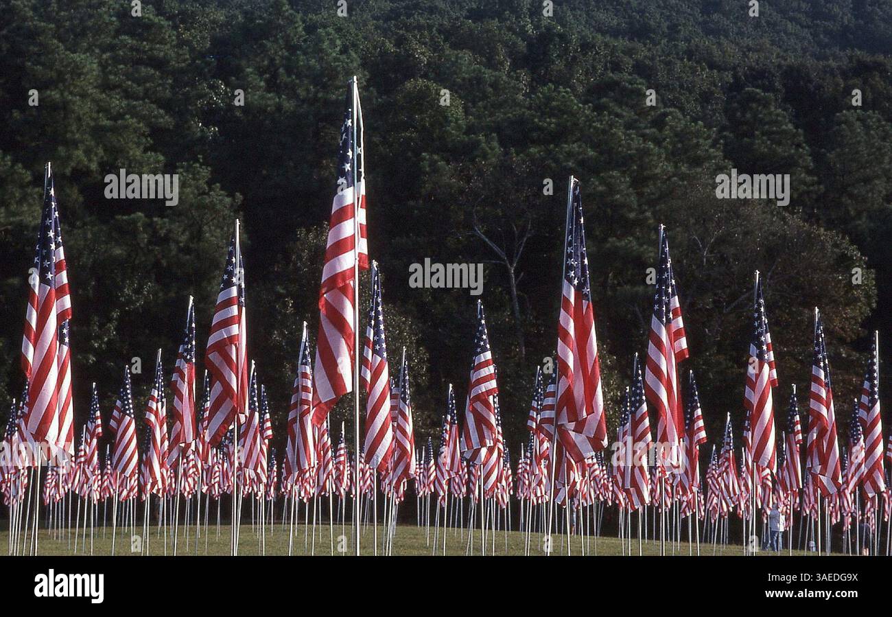 Patriotic Holiday Flag Display in America Stock Photo - Alamy