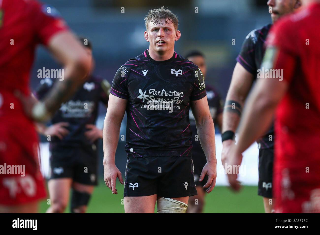 Swansea, UK. 6 April, 2025. Jac Morgan of Ospreys during the Ospreys v ...