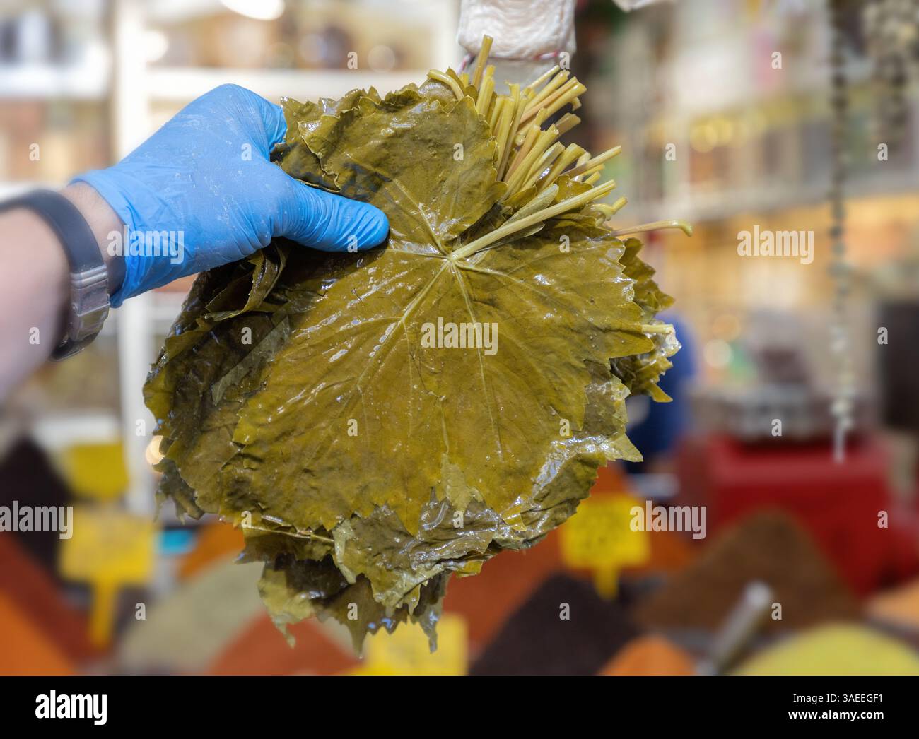 Pickled vine leaves. Vine leaves in brine. Traditional Turkish cuisine ...