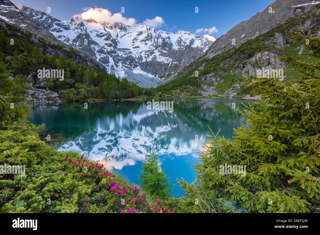 Summer view of the Aviolo lake in the Adamello park. Edolo,Brescia ...