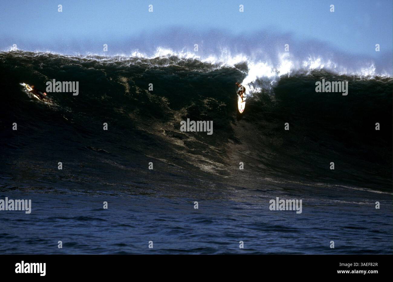 Mar 01, 1995; Baja Norte, Mexico; Pro Surfer DAN MALLOY drops in at a ...