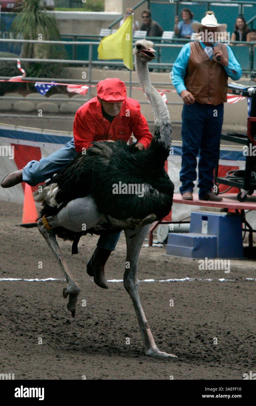 June 14, 2008, Del Mar, California STEVE GAULT of Hedrick Exotic Animal ...