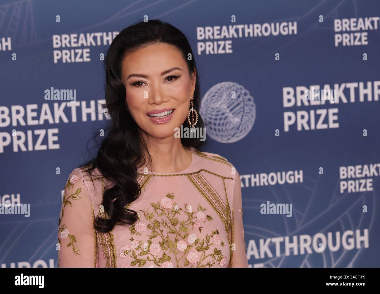 Santa Monica, USA. 06th Apr, 2025. Wendi Murdoch attends the 11th ...