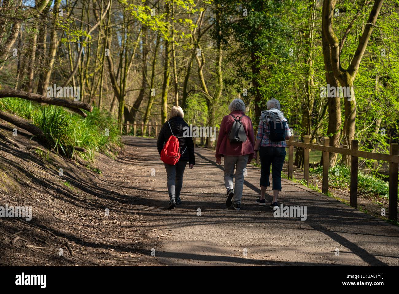 Three women stroll along a peaceful woodland path in Glasgow’s West End ...
