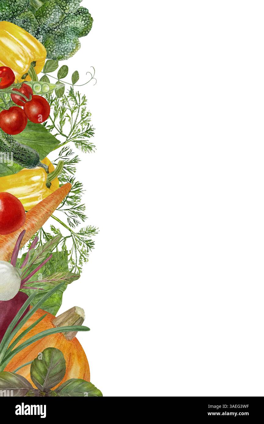 Fall vegetables harvest watercolor card on transparent. Farm plants ...