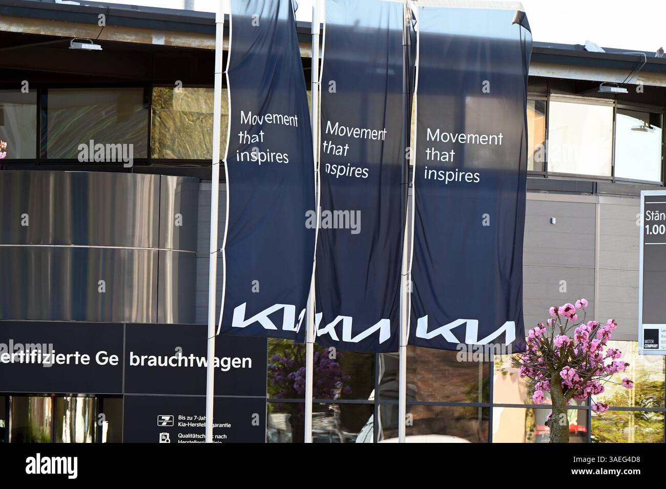 Logo, Schriftzug des südkoreanischen Autohersteller Kia Motors an einem ...