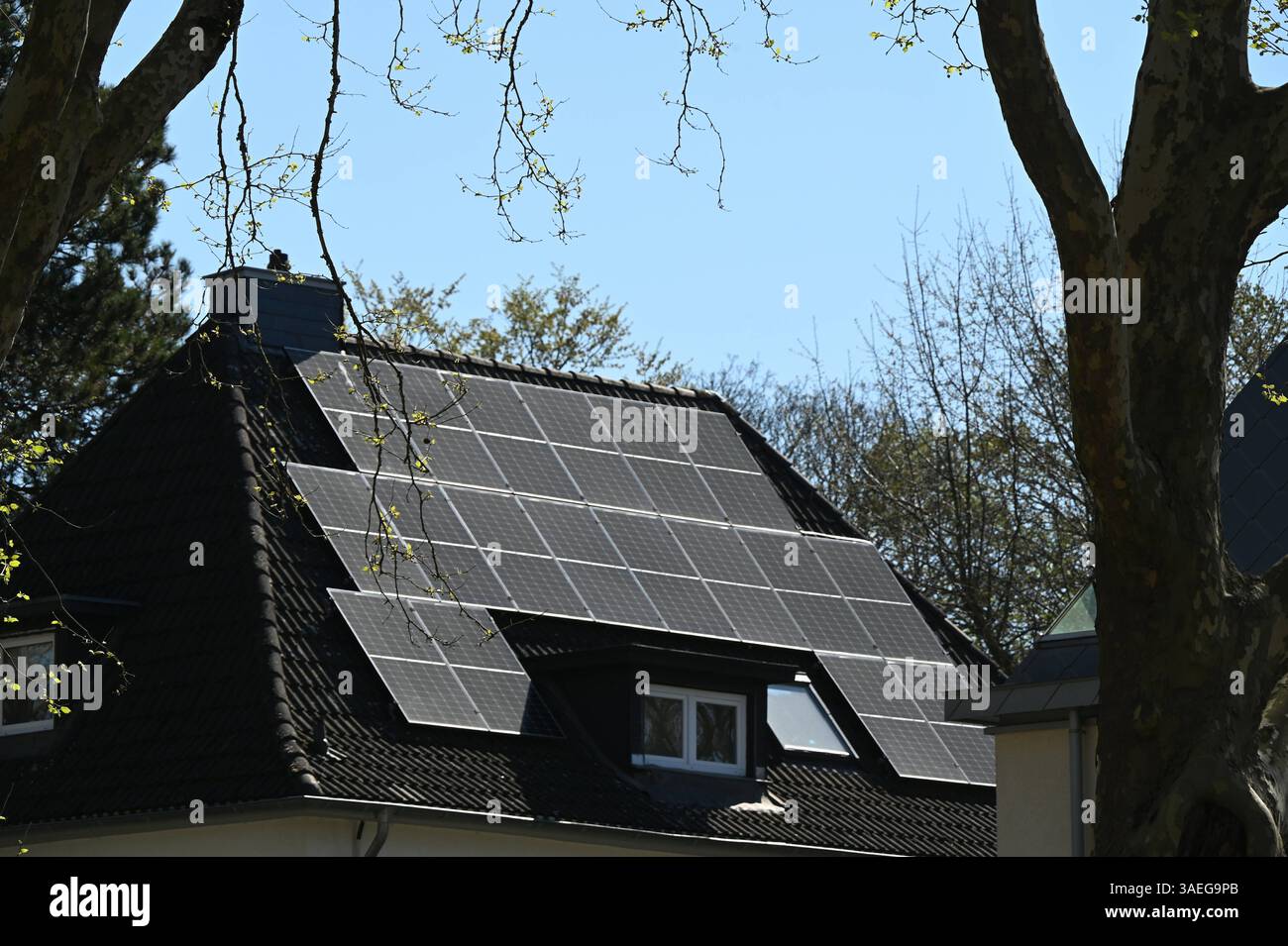 Solarpanele, Solarpanels auf dem Dach eines Hauses *** Solar panels ...