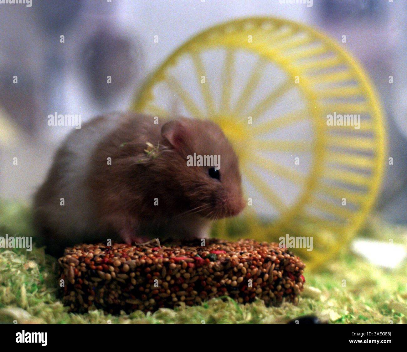 45463 hi-res stock photography and images - Alamy