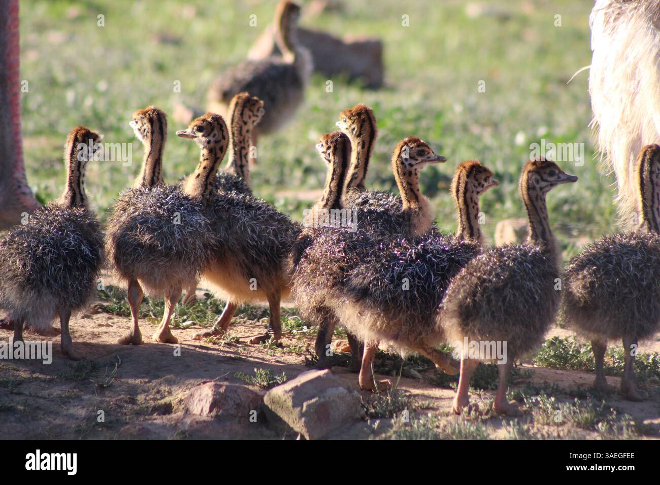 Adorable small baby hi-res stock photography and images - Alamy