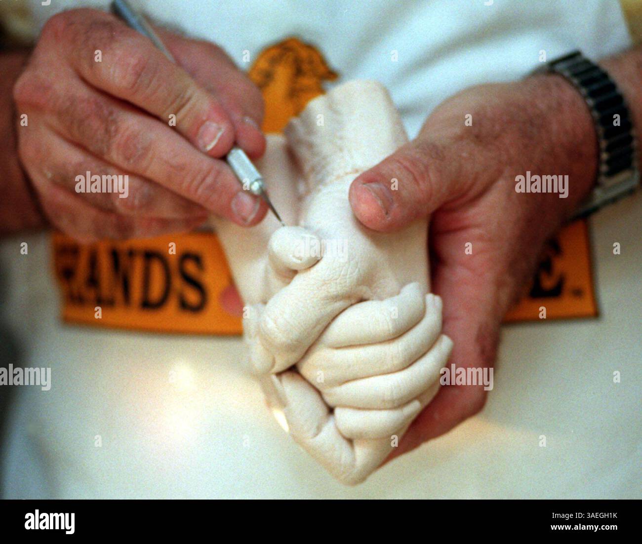 PT 47038 - - DELIVER TO: North of Tampa - - 5/8/97 - - land o'lakes ...