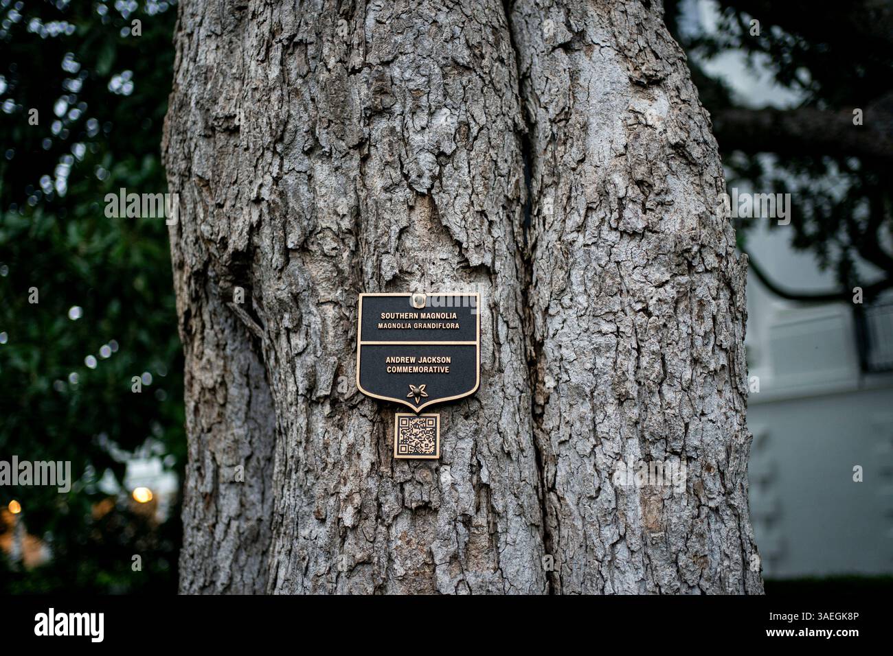 Washington, United States. 06th Apr, 2025. The Andrew Jackson ...