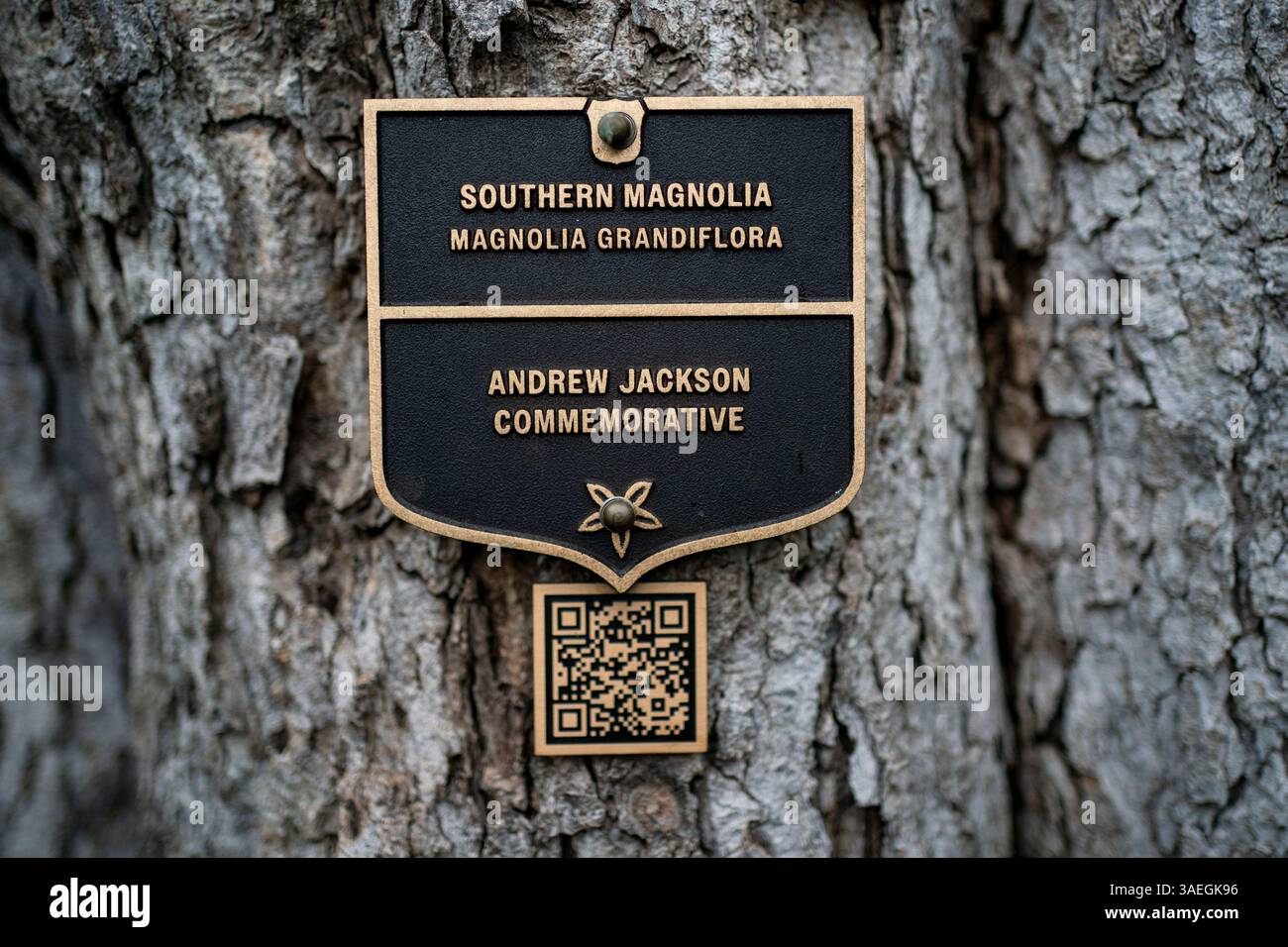 Washington, United States. 06th Apr, 2025. The Andrew Jackson ...