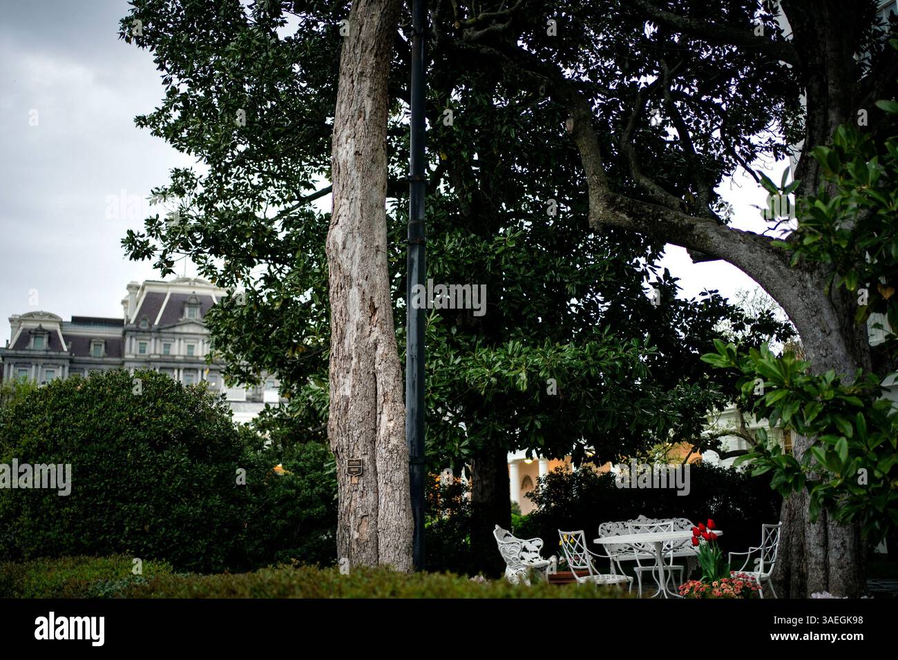 Washington, United States. 06th Apr, 2025. The Andrew Jackson ...
