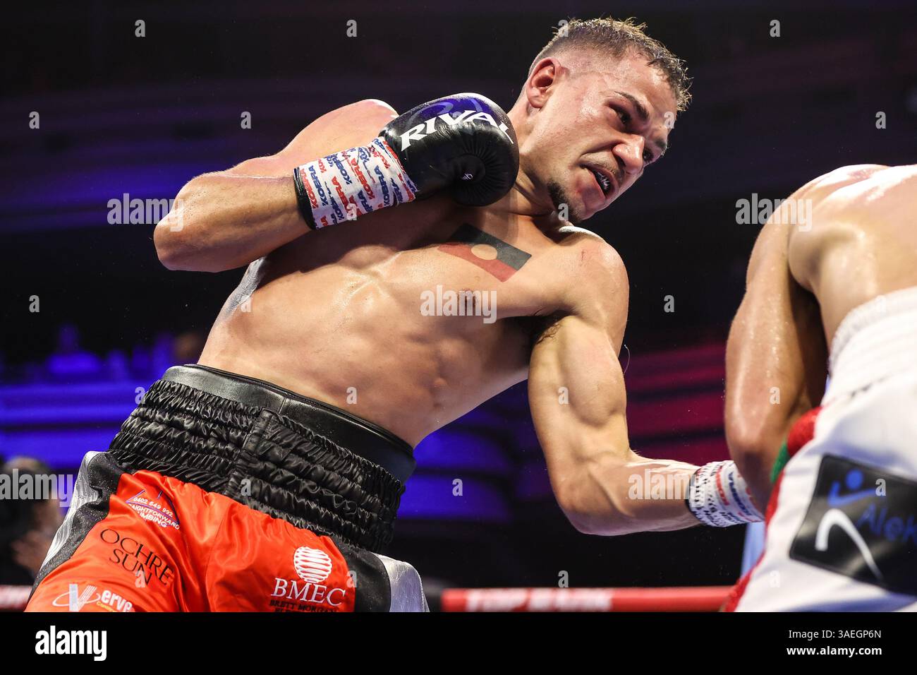 Las Vegas, NV, USA. 5th Apr, 2025. Featherweight Dana Coolwell throws a ...
