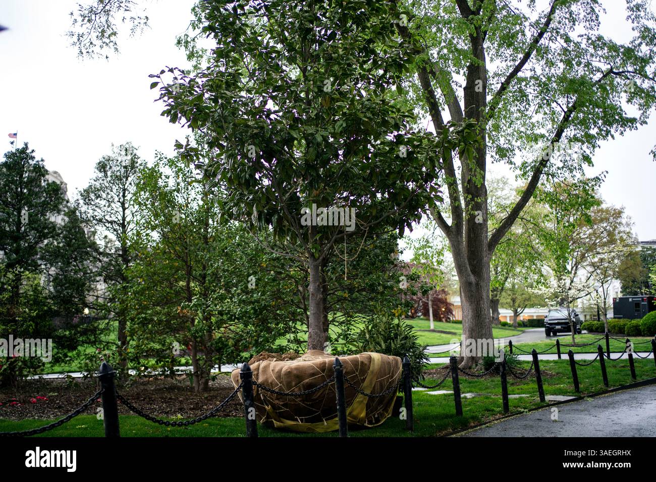 Washington, United States . 06th Apr, 2025. The Andrew Jackson ...