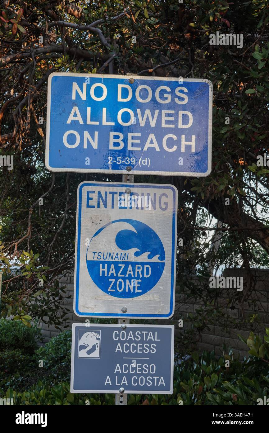 No dogs allowed , Tsunami Hazard zone and coastal Access sign at ...