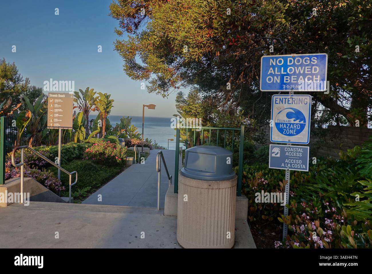 No dogs allowed , Tsunami Hazard zone and coastal Access sign with ...