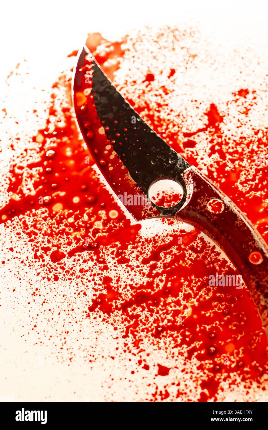 Knife with Red Splatter.Crime Scene.Drops of blood fall on the knife ...