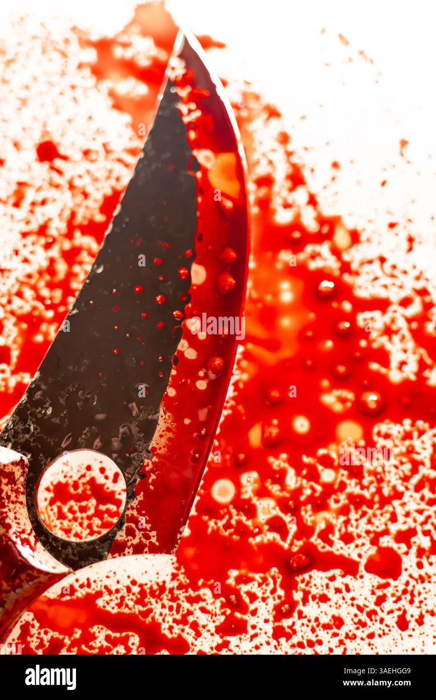 Murder Weapon. Bloody Evidence.Bloody wallpaper with a knife.Crime and ...