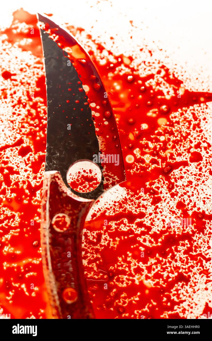 Bloody Evidence.Bloody wallpaper with a knife.Crime and murder ...