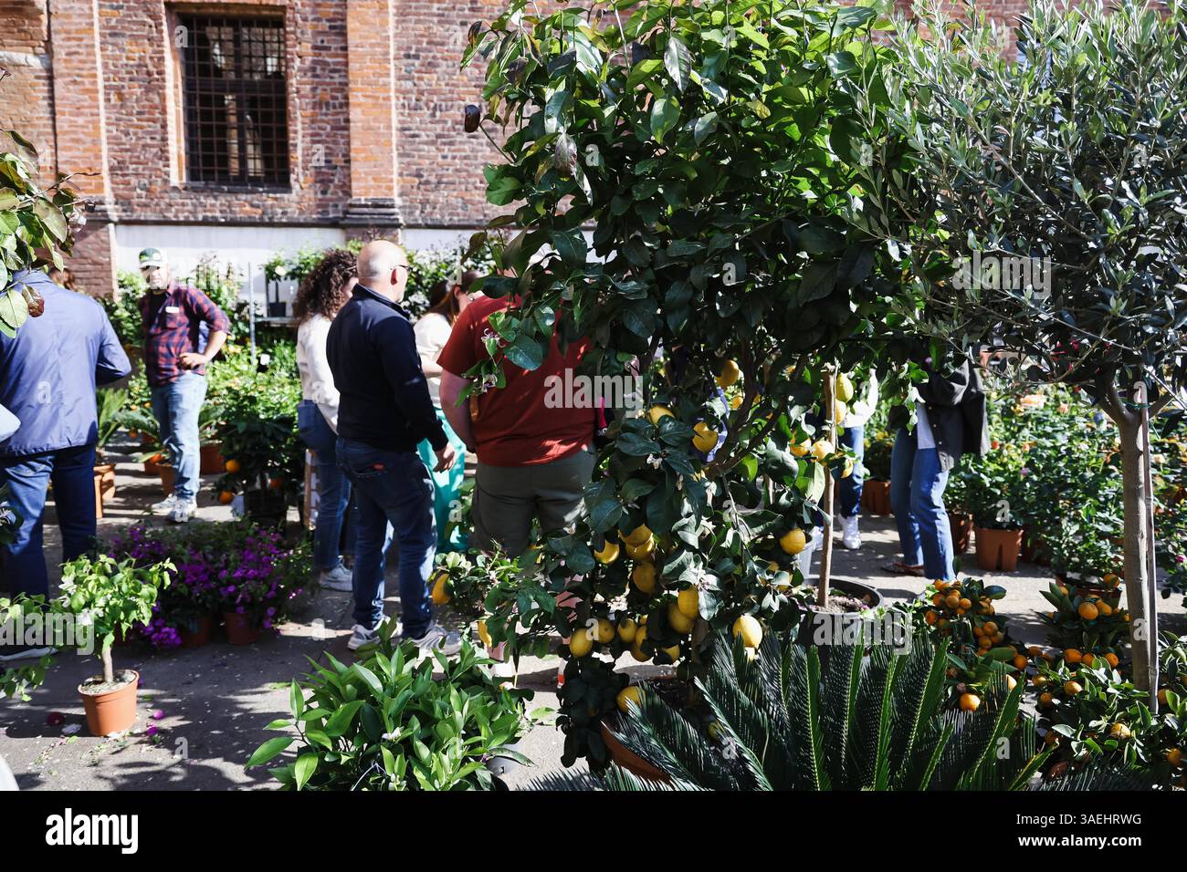 Milan, Italy. 07th Apr, 2025. Milan, The Flora et Decora spring market ...